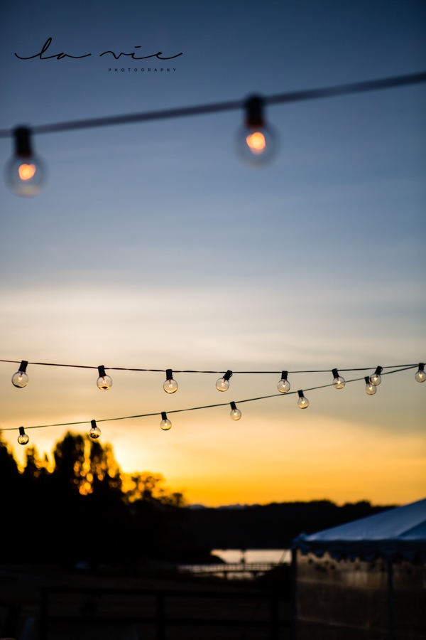 Rives and Eric Wedding – Holly Rohrbacher Events