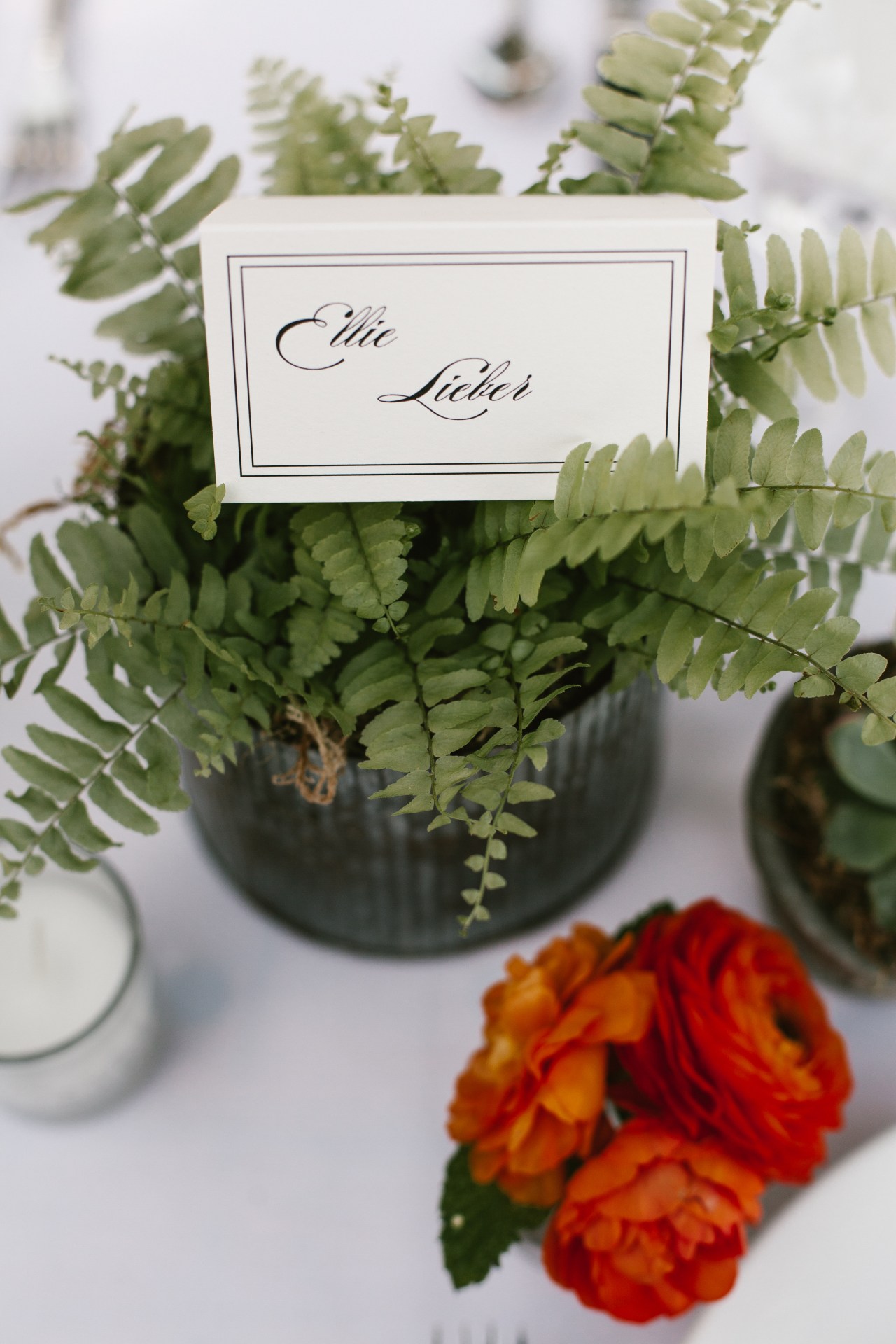 Holly Rohrbacher Events – Event Planning Services in the Puget Sound Area